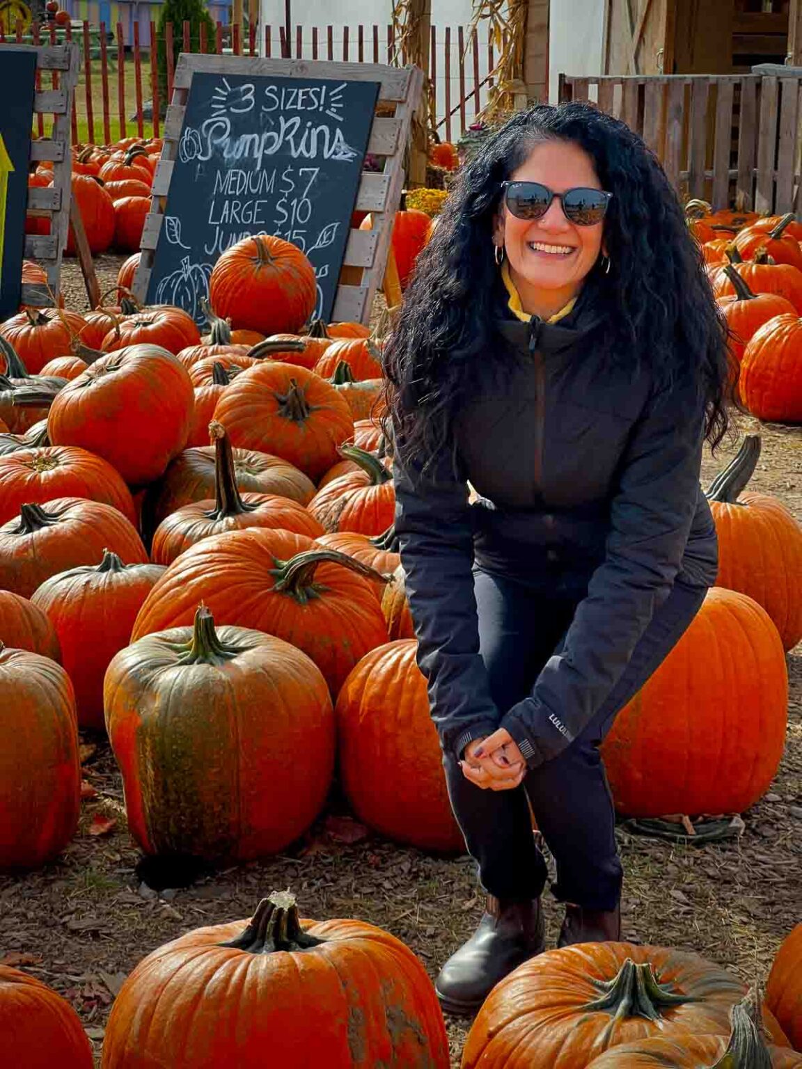 Pingle's Farm Market Review — Travel & Chai